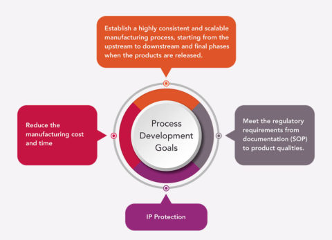 Ip Protection And Process Development Services