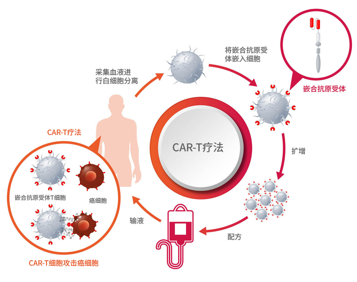 我们的技术|CAR-T, iPSCs, MSCs | 优基科技